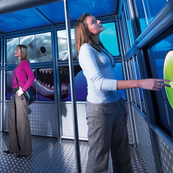 THE DIVE CAGE – Figment Productions